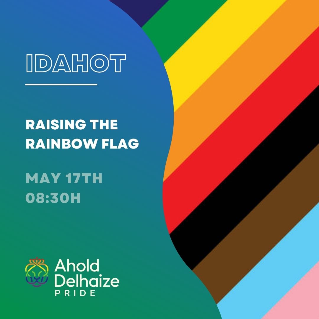 IDAHOT: Regenboogvlag hijsen